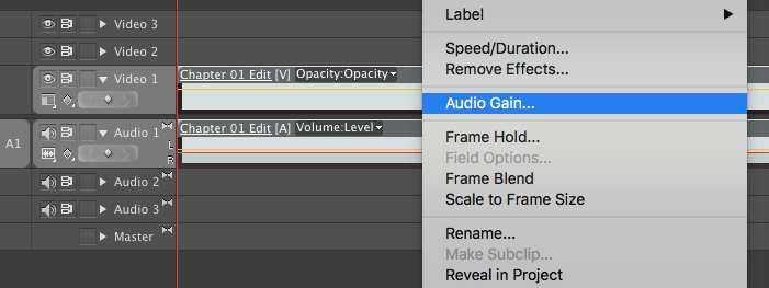 Adjusting Audio Peak Levels in Adobe Premiere Pro – JAY VERSLUIS